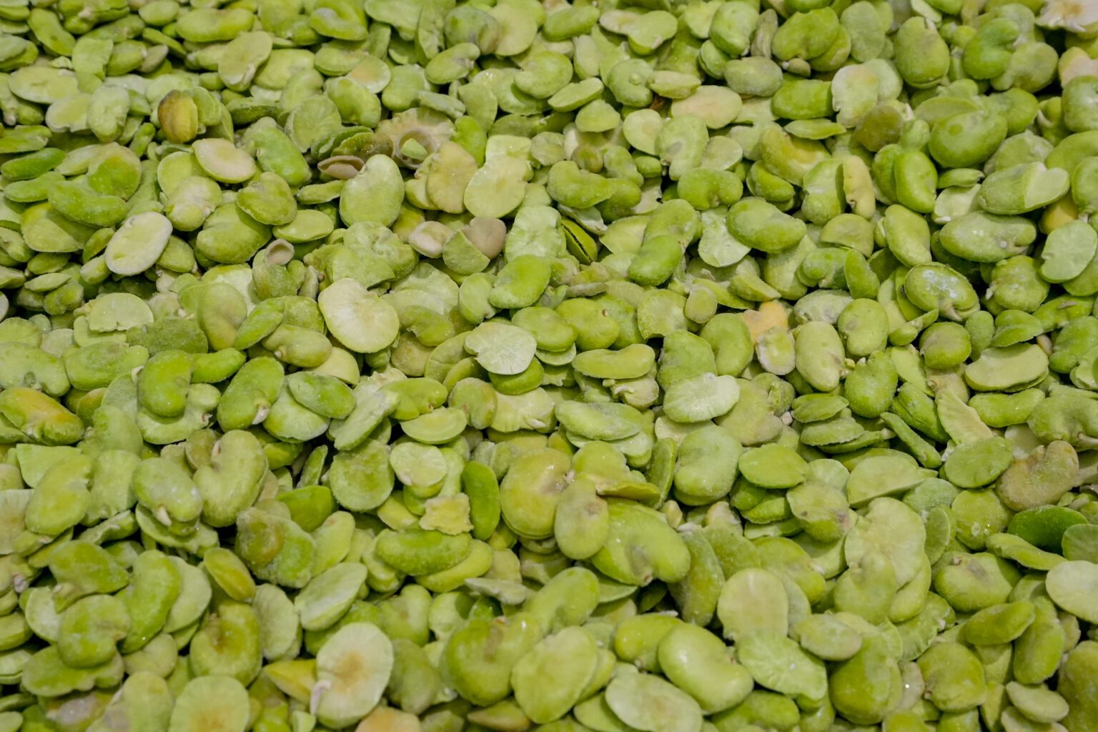 Our agricultural raw materials – Vegie Tut